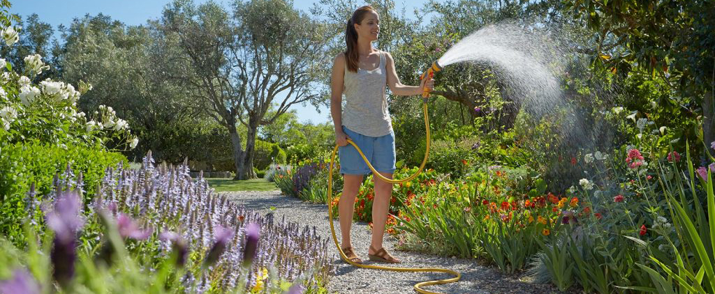 Comment bien arroser ses plantes et son potager