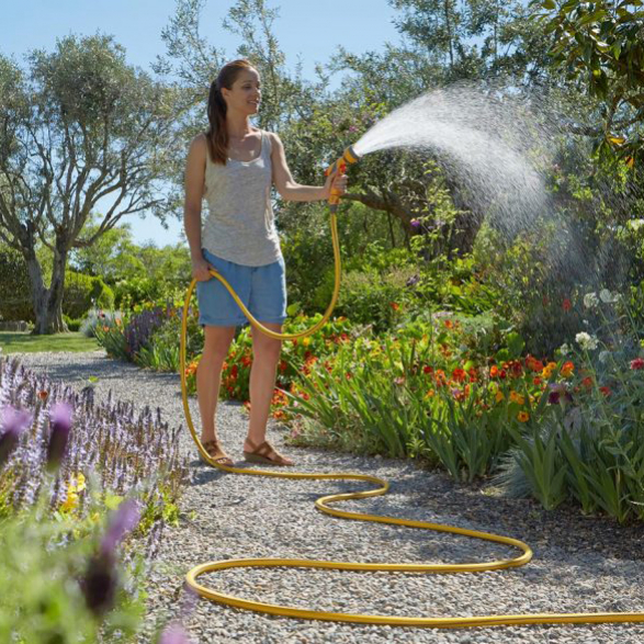 Comment bien arroser ses plantes et son potager